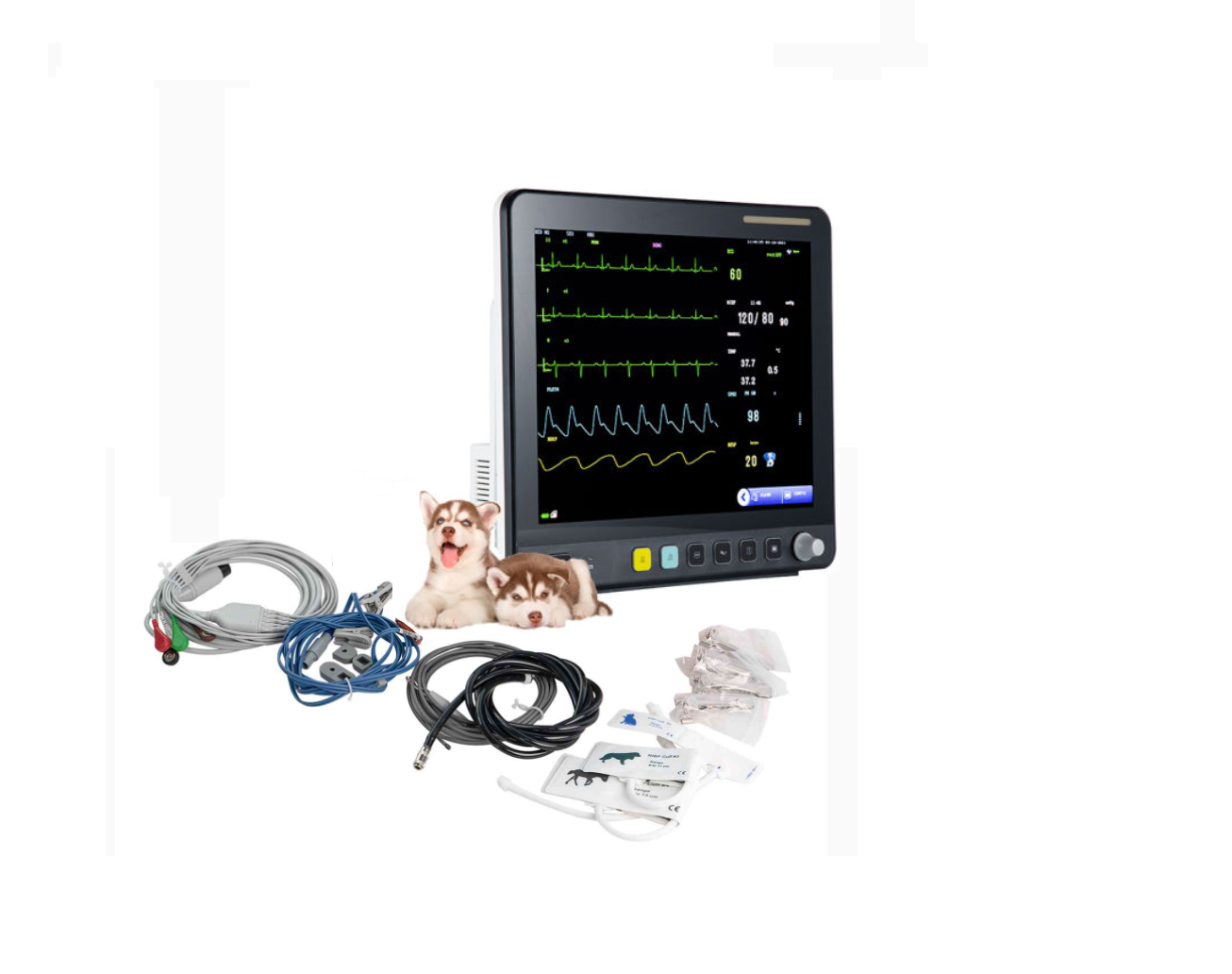 Monitor Multiparámetro Veterinario Meditech VE15 + IBP (Presión ...